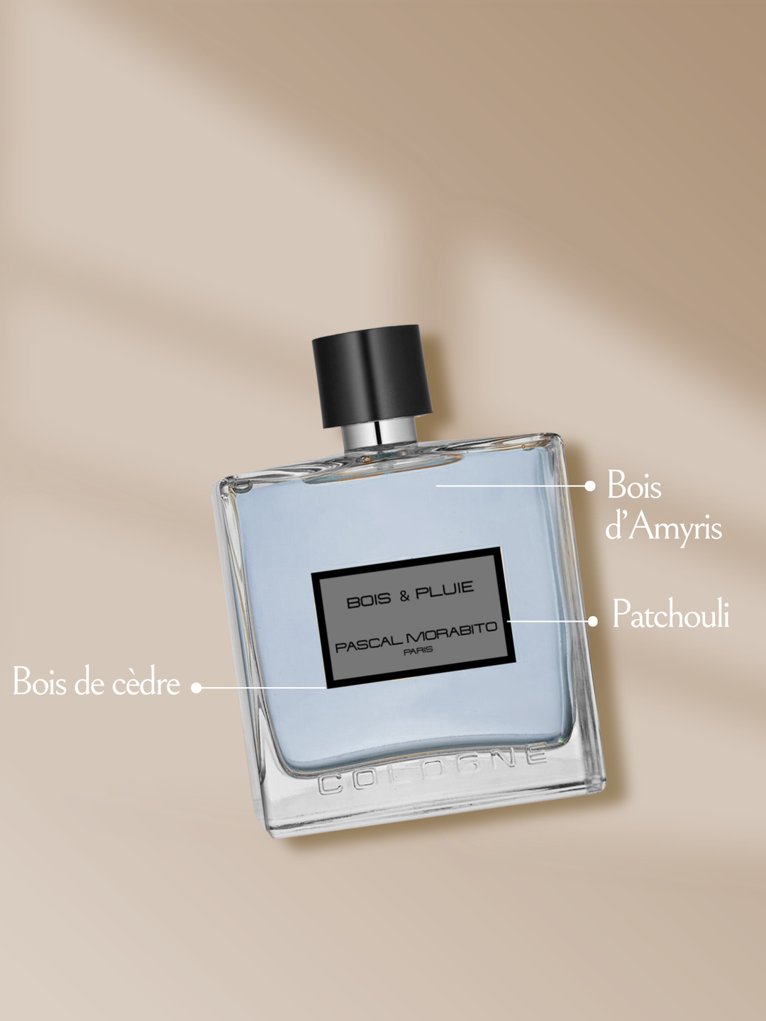 Bois & Pluie – Pascal Morabito