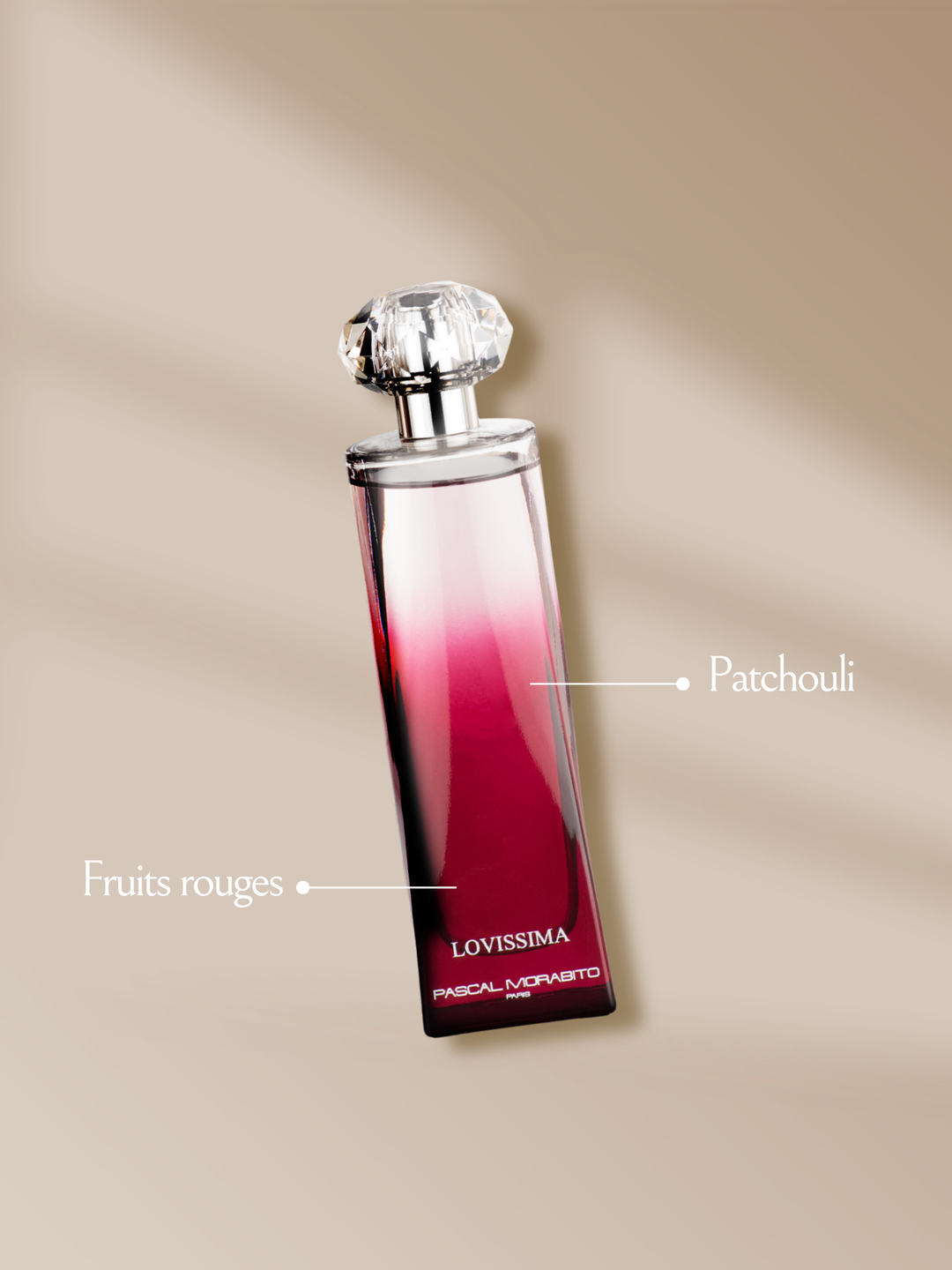 Lovissima – Pascal Morabito